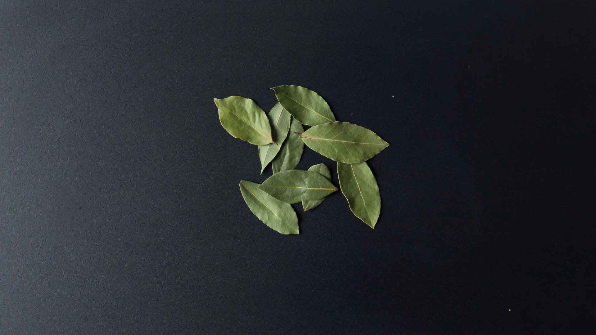 Dafin | Fuchs Condimente Romania